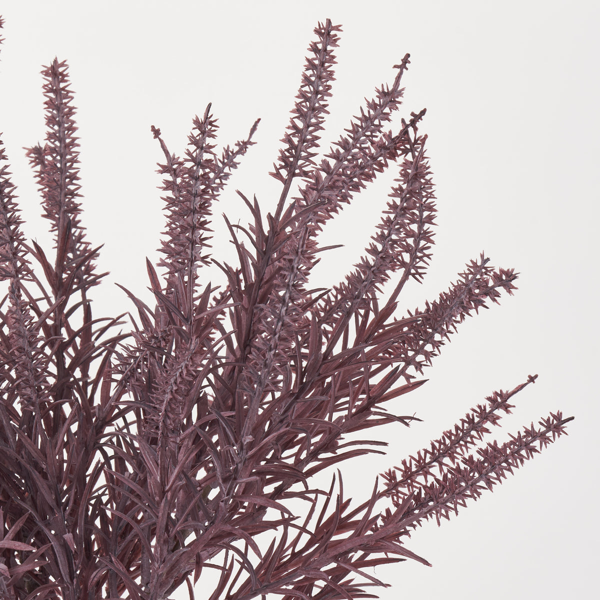 Dusty Dark Purple Astilbe Stem Bundle Dried Look Fall Foliage Bouquet ...