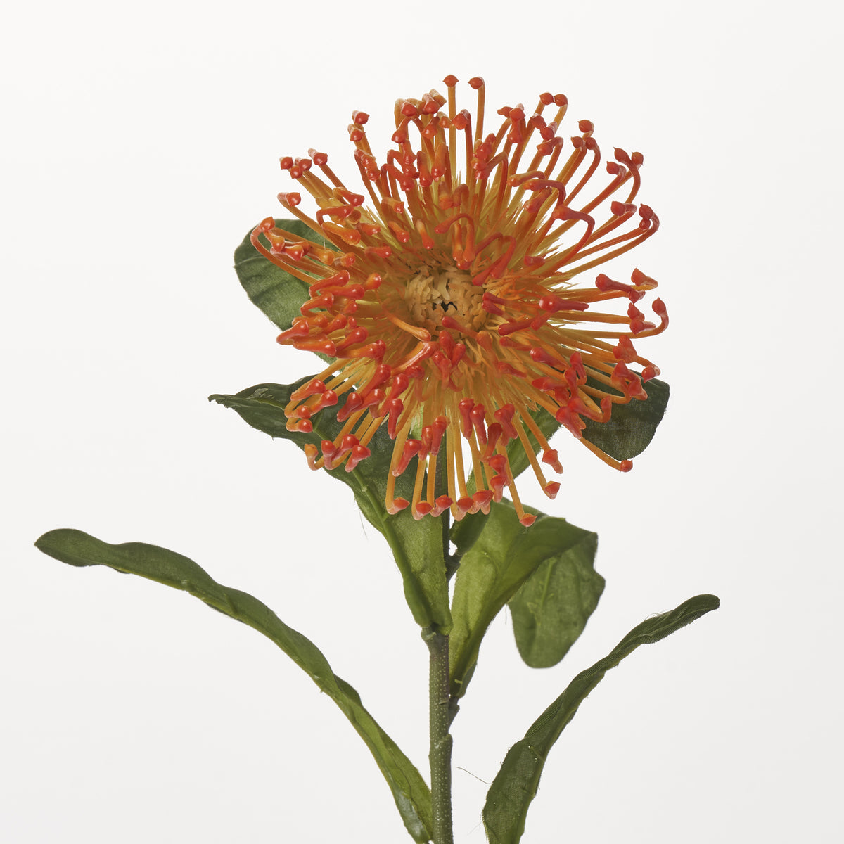 Open Pincushion Needle Orange Protea Bloom & Leaf Faux Long Stem Spray – Darby Creek Trading