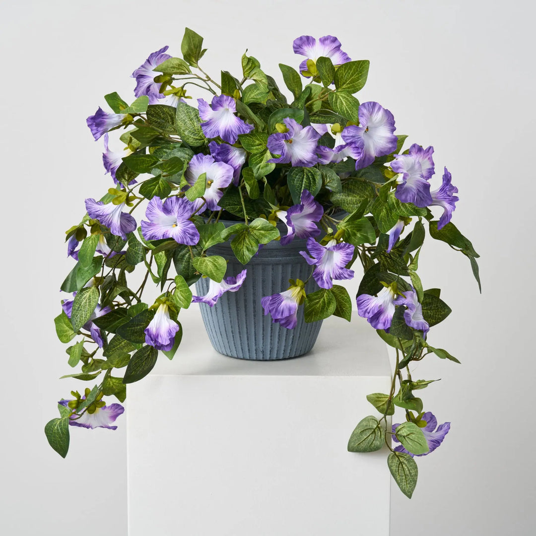 Petunia Flower Arrangements