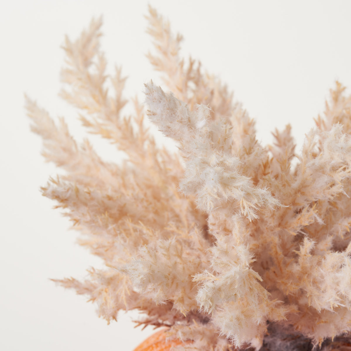 Pampas Grass Pumpkin Centerpiece on Birch Disc Fall Floral Decor Arran ...