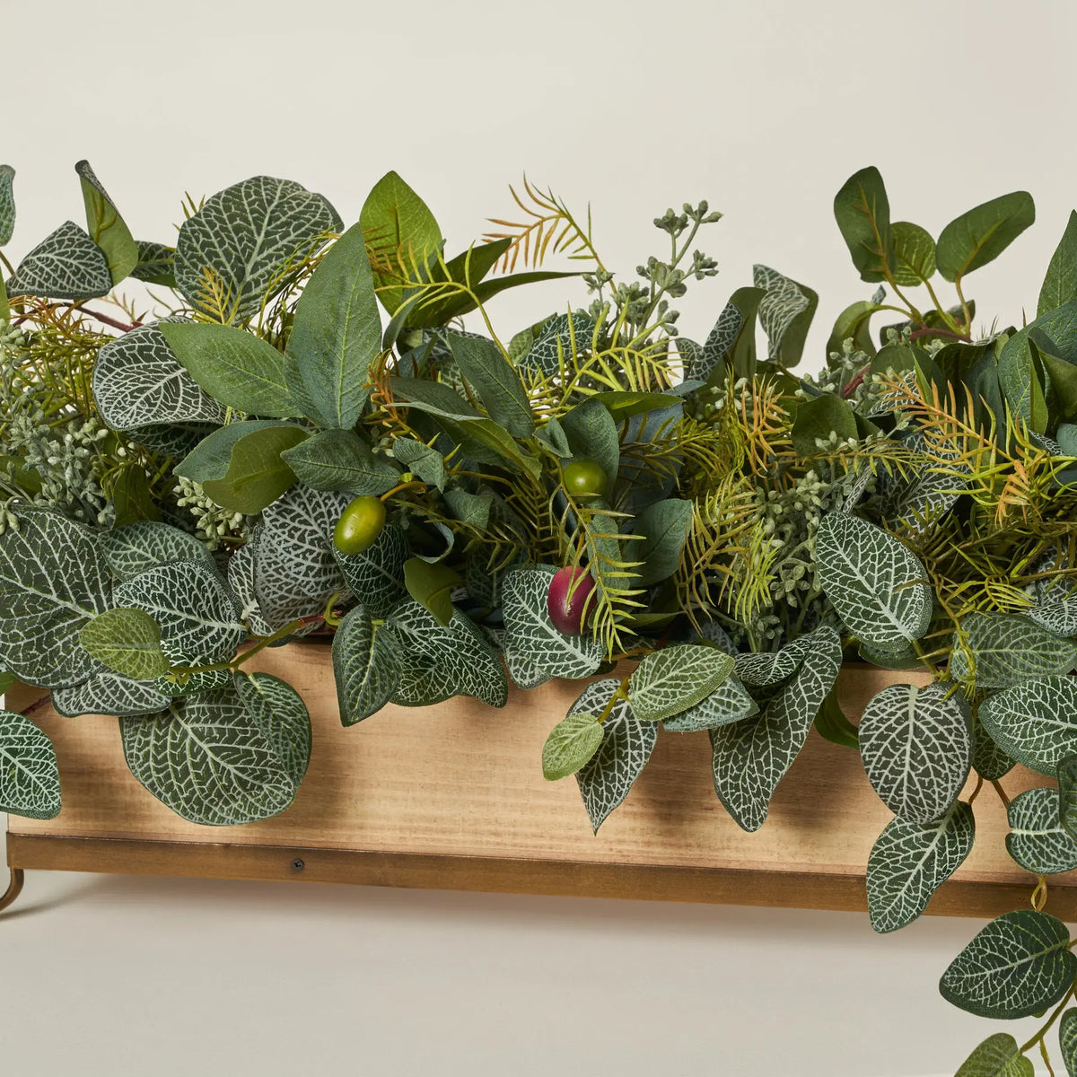 Lush Layers - Fittonia Vines, Olive Branch & Fern Cypress Mixed Greene ...