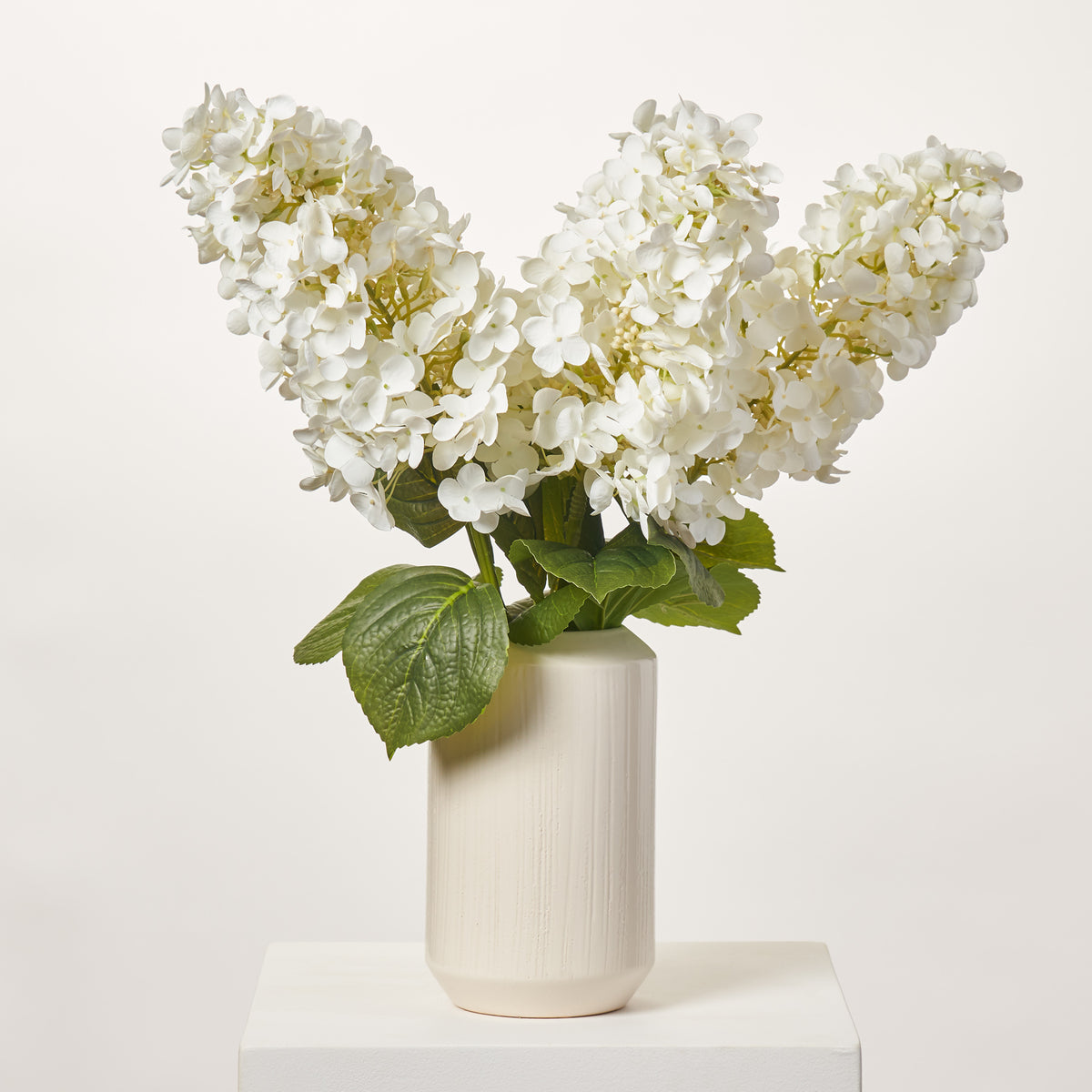 Real Touch White Seeding Peegee Cone Hydrangea in Classic White Cerami ...