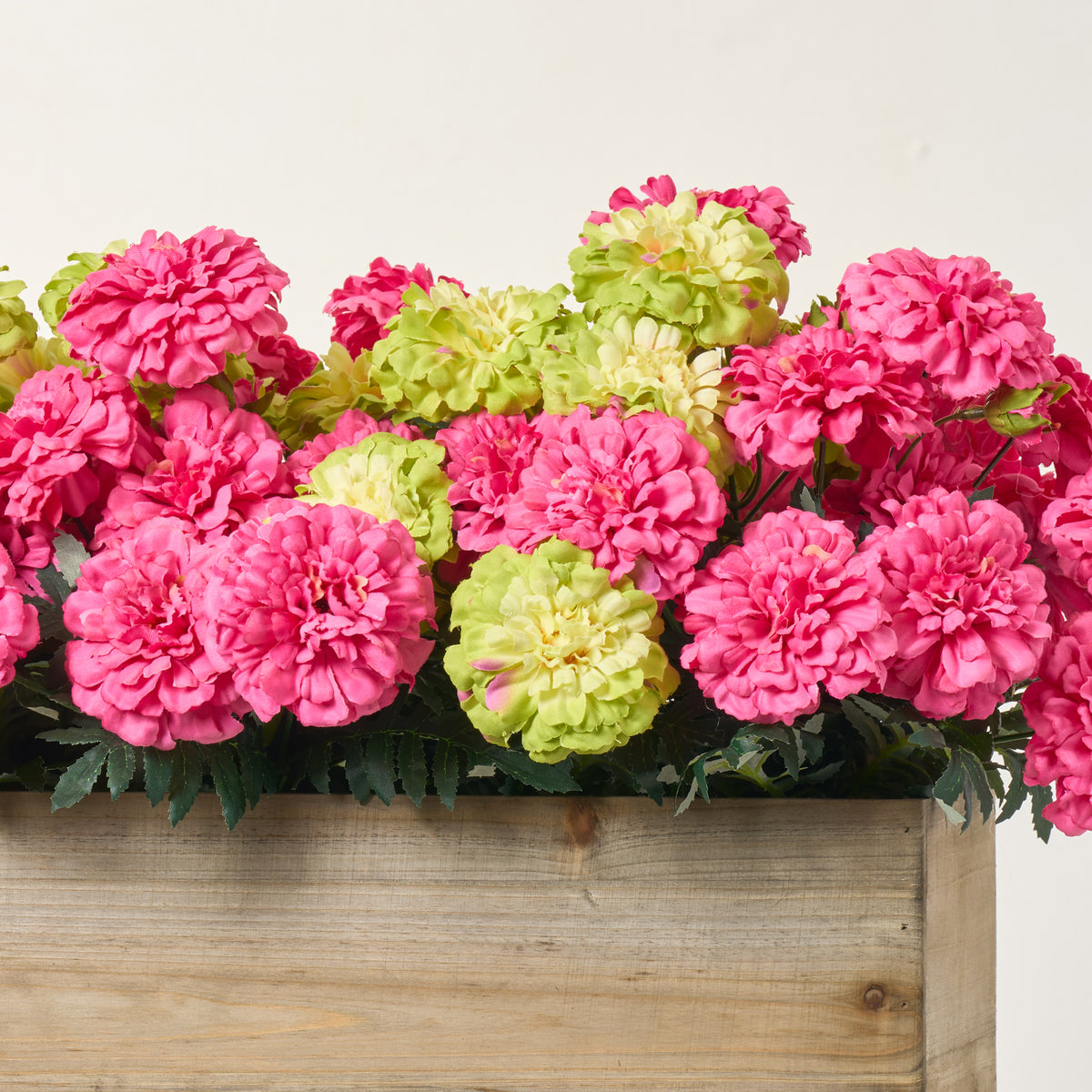 Mixed Fuchsia Pink & Green Marigold Blooms Arrangement in Large Wood P ...