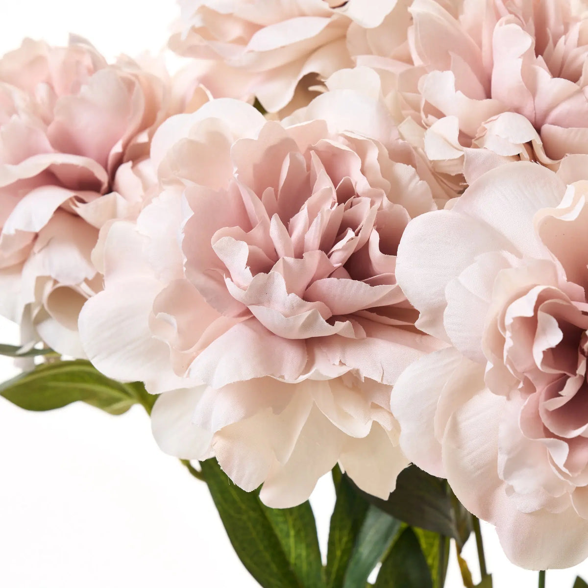 Beige Pink Silk Peony Blooms Floral Bush Stem Bouquet - 22" – Darby ...