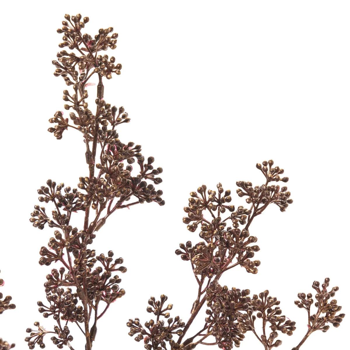 Bronze Glitter Seed Branch Spray - 25" - Darby Creek Trading