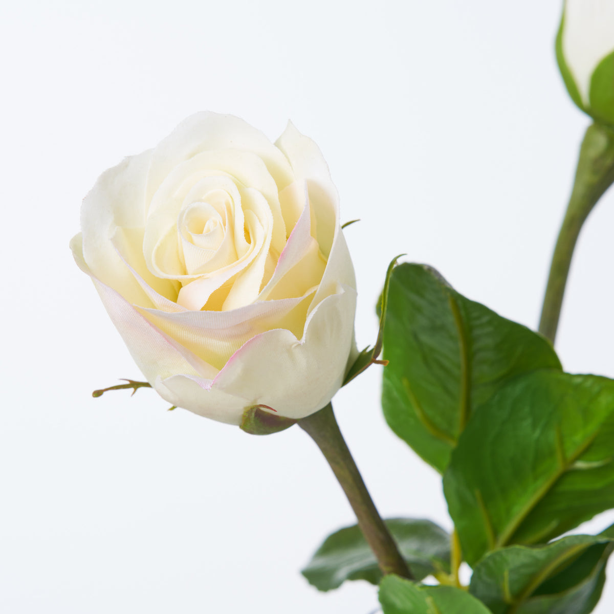 Real Touch Cream Pink Rose Bud in Flute Bud Vase – Darby Creek Trading