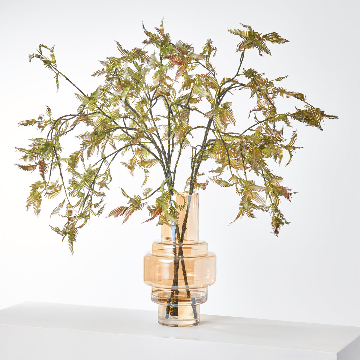 Giant Forest Fern Branches in Amber Modern Style Vase Large Everyday G ...