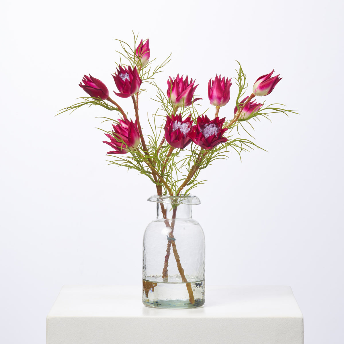 Mini Fuchsia Protea Buds & Blooms in Small Clear Bottle Vase Everyday ...