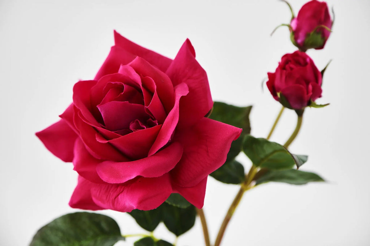 Real Touch Fuchsia Juliette Full Bloom Rose in Small Flute Vase Everyd ...