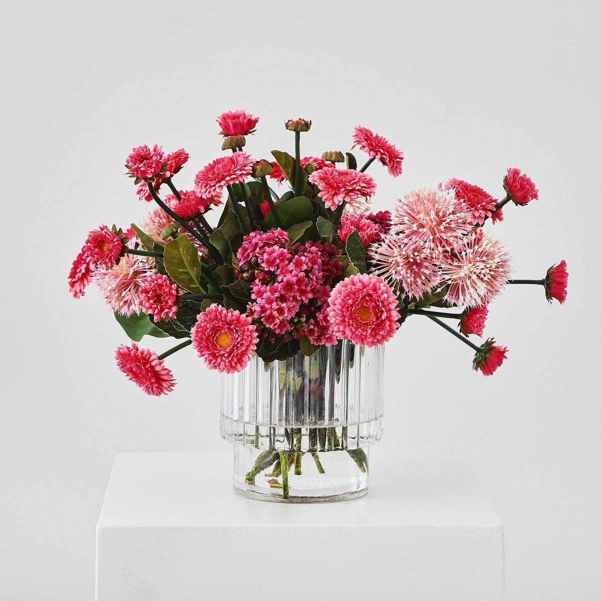Blossoming Love - English Daisy, Kalanchoe, & Blossom Pods Spring Wate – Darby Creek Trading