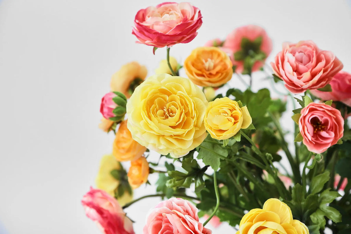 Mixed Sunrise Ranunculus - Yellow, Orange, Coral & Pink Blooms in Silv ...