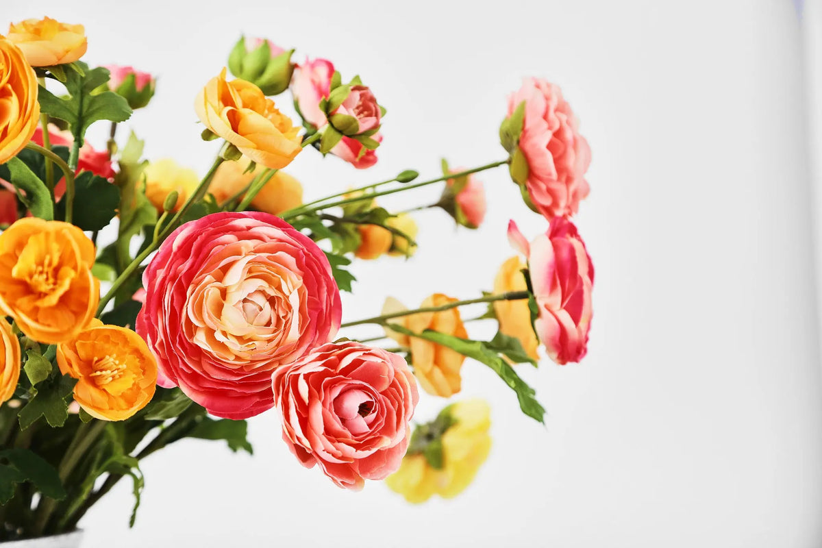 Mixed Sunrise Ranunculus - Yellow, Orange, Coral & Pink Blooms in Silv ...