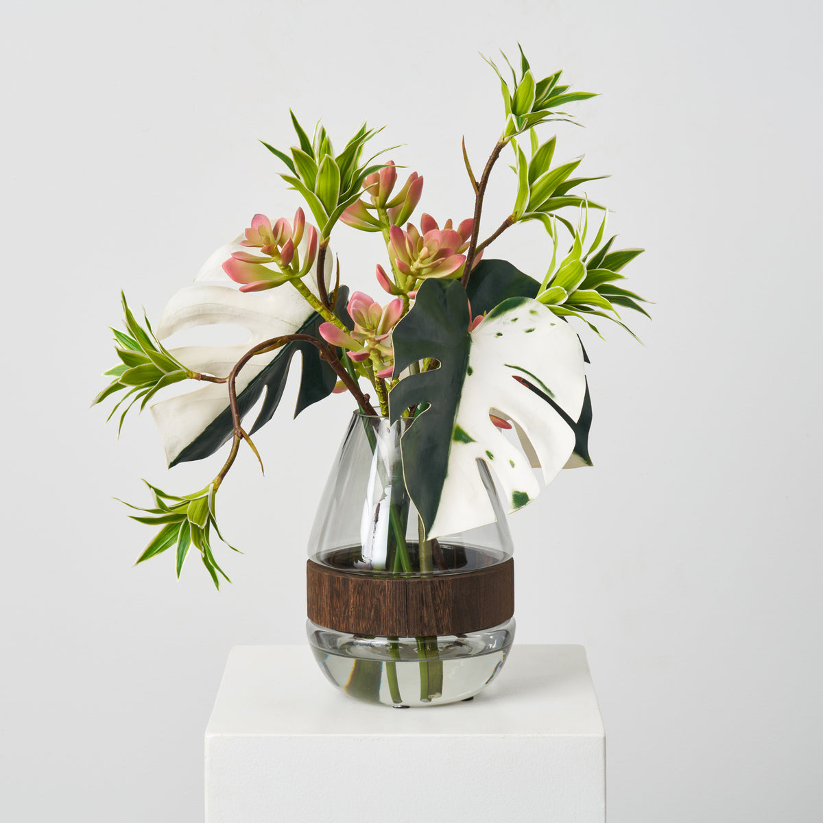 Tropical Muse - Green Albino Monstera Leaf, Dracaena & Succulent in Sm ...