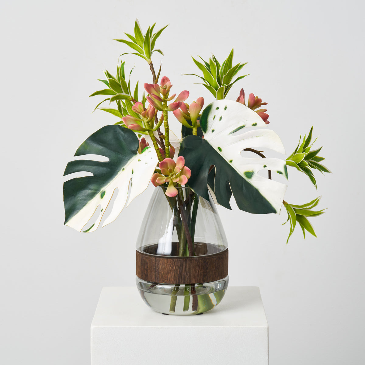 Tropical Muse - Green Albino Monstera Leaf, Dracaena & Succulent in Sm ...