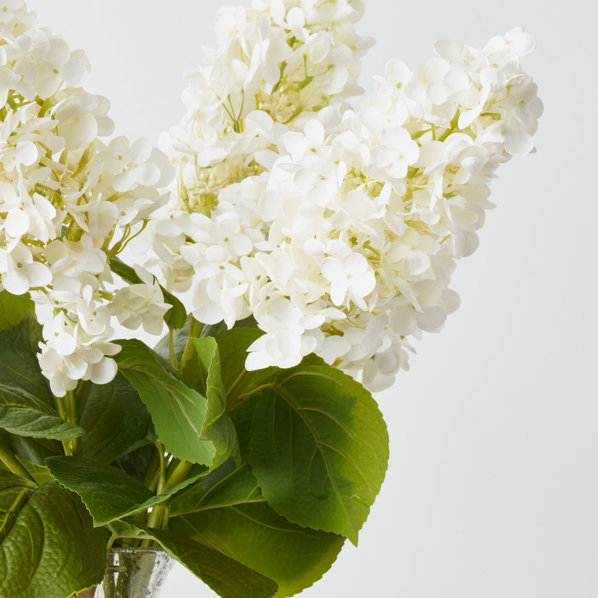 Real Touch White Panicle Cone Hydrangea Blooms Everyday Centerpiece Wa ...