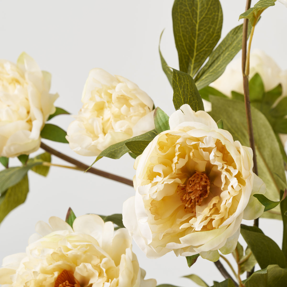 Lifelike Large Cream Peony Branch Stems Multi Blooms Faux Flower Arran ...