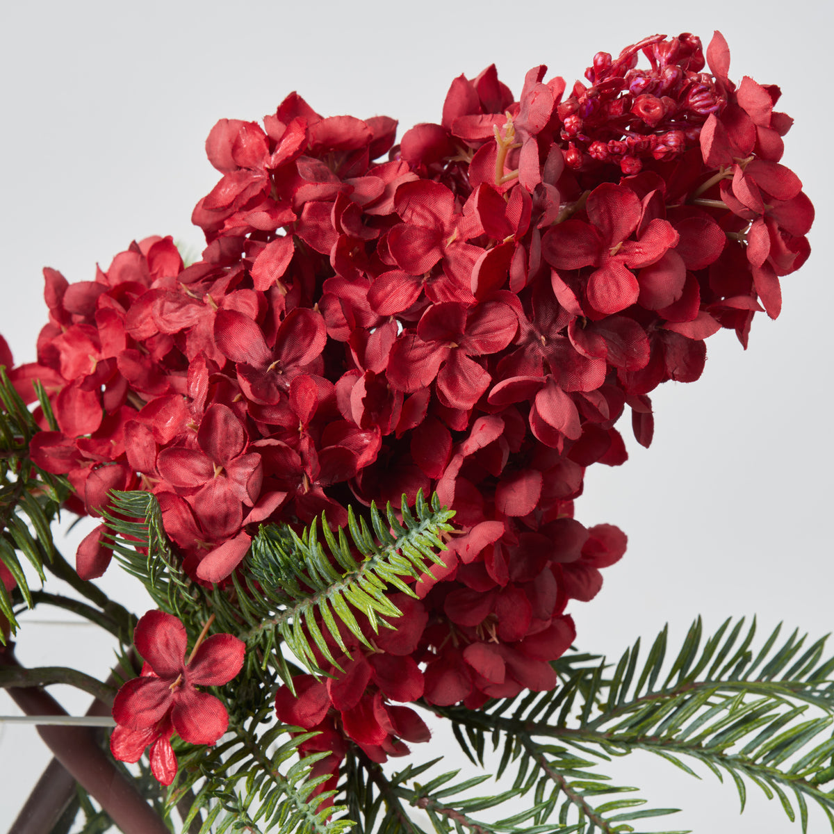 Christmas Hydrangea - Red Burgundy Panicle Hydrangea & Frasier Fir Pin ...