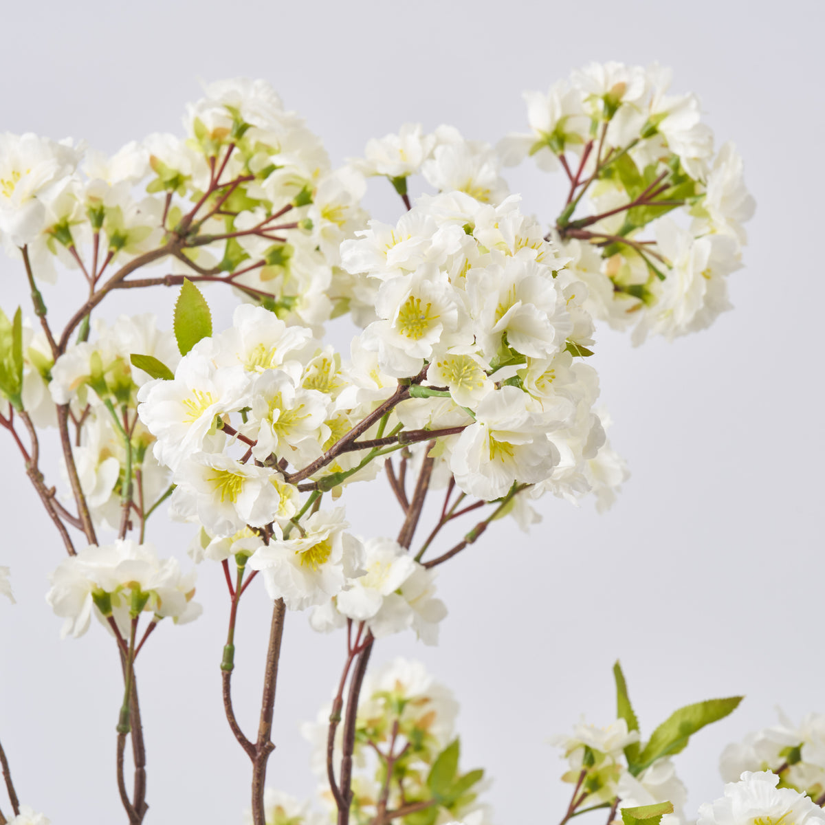 Lifelike White Cherry Blossom Branches in Tapered Cylinder Vase Spring ...