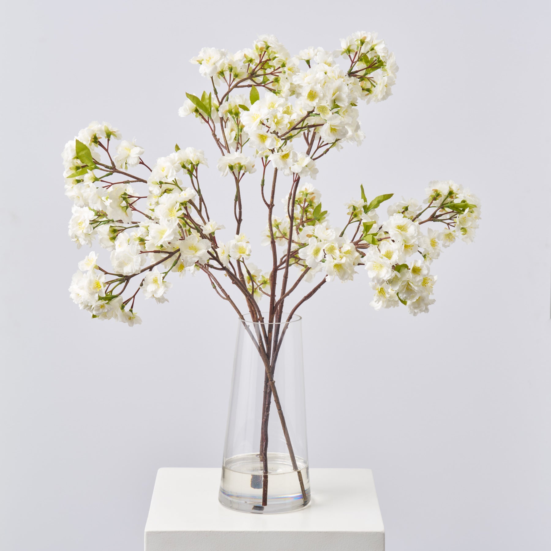 Lifelike White Cherry Blossom Branches in Tapered Cylinder Vase Spring ...
