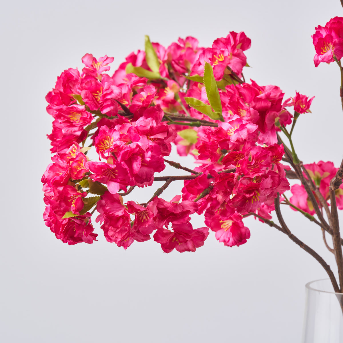 Lifelike Pink Cherry Blossom Branches in Tapered Cylinder Vase Spring ...