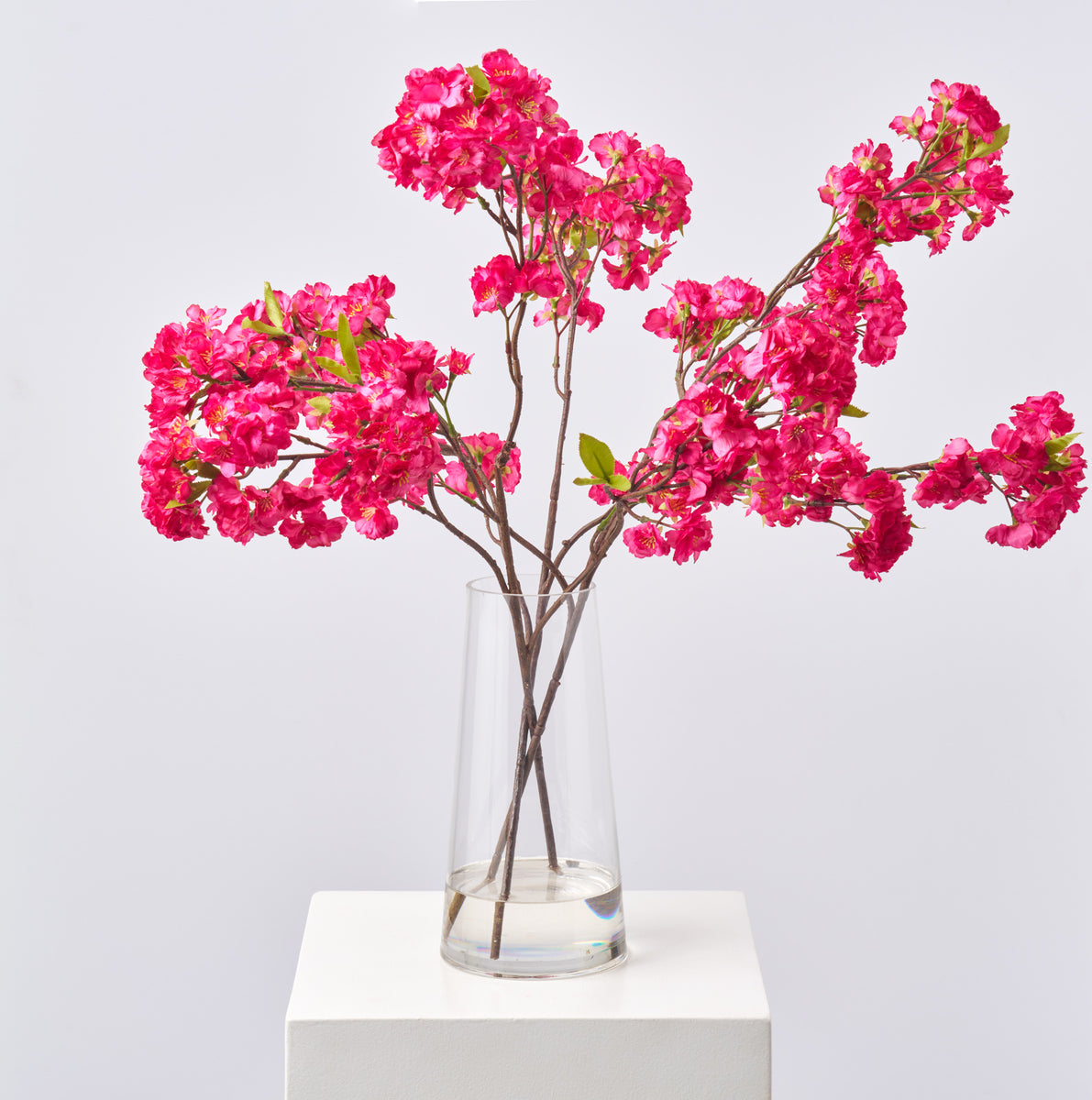 Lifelike Pink Cherry Blossom Branches in Tapered Cylinder Vase Spring ...