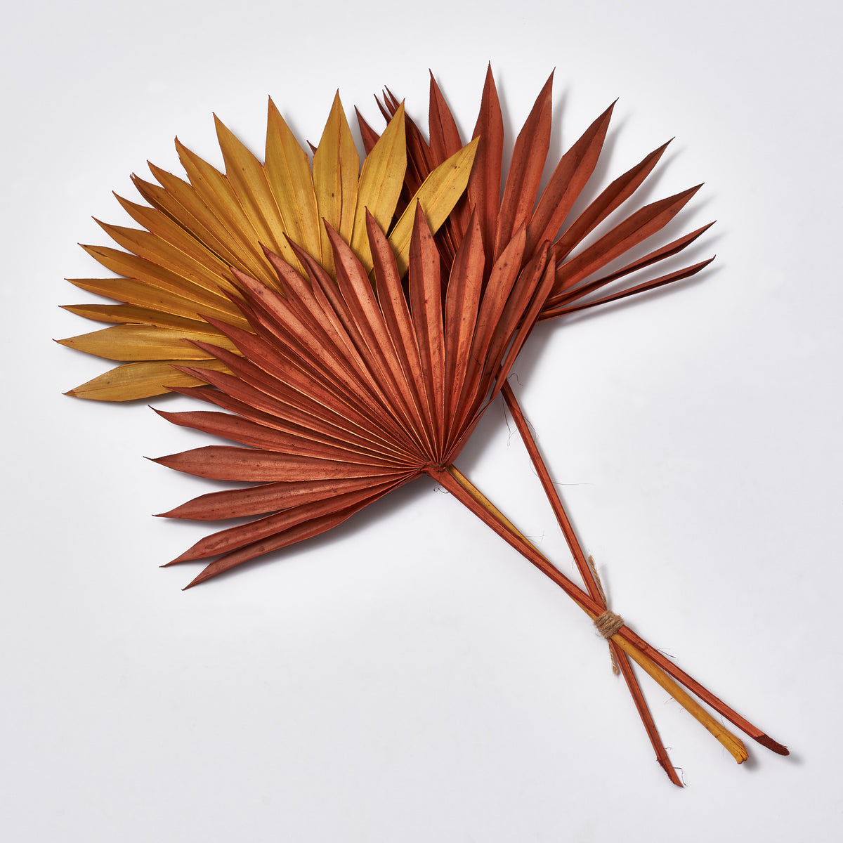 Naturally Dried & Farm Dyed Golden Yellow Mixed Orange Sun Cut Palm Bu ...