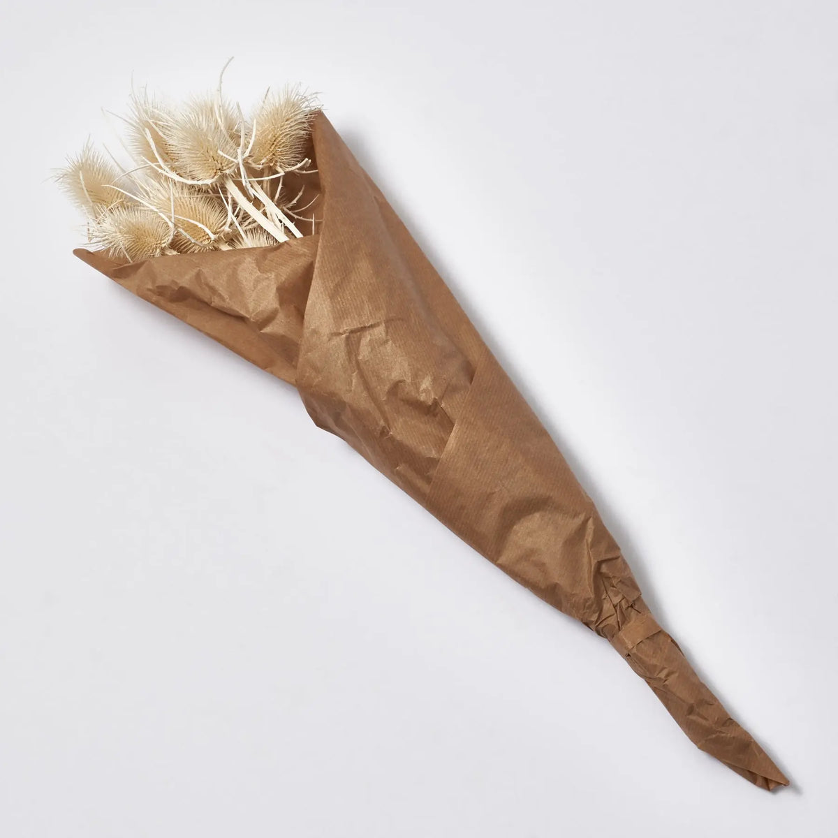 Bleached Naturally Dried Chardon Thistle Pods Decorative Bouquet of 6 ...