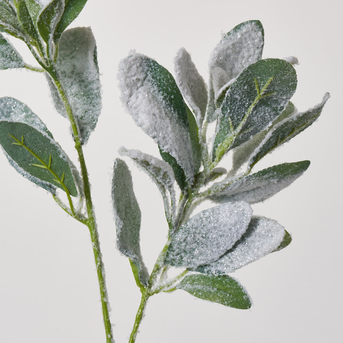Snow Flocked Green Lamb's Ear Branch Faux Stem Spray - 28" – Darby ...