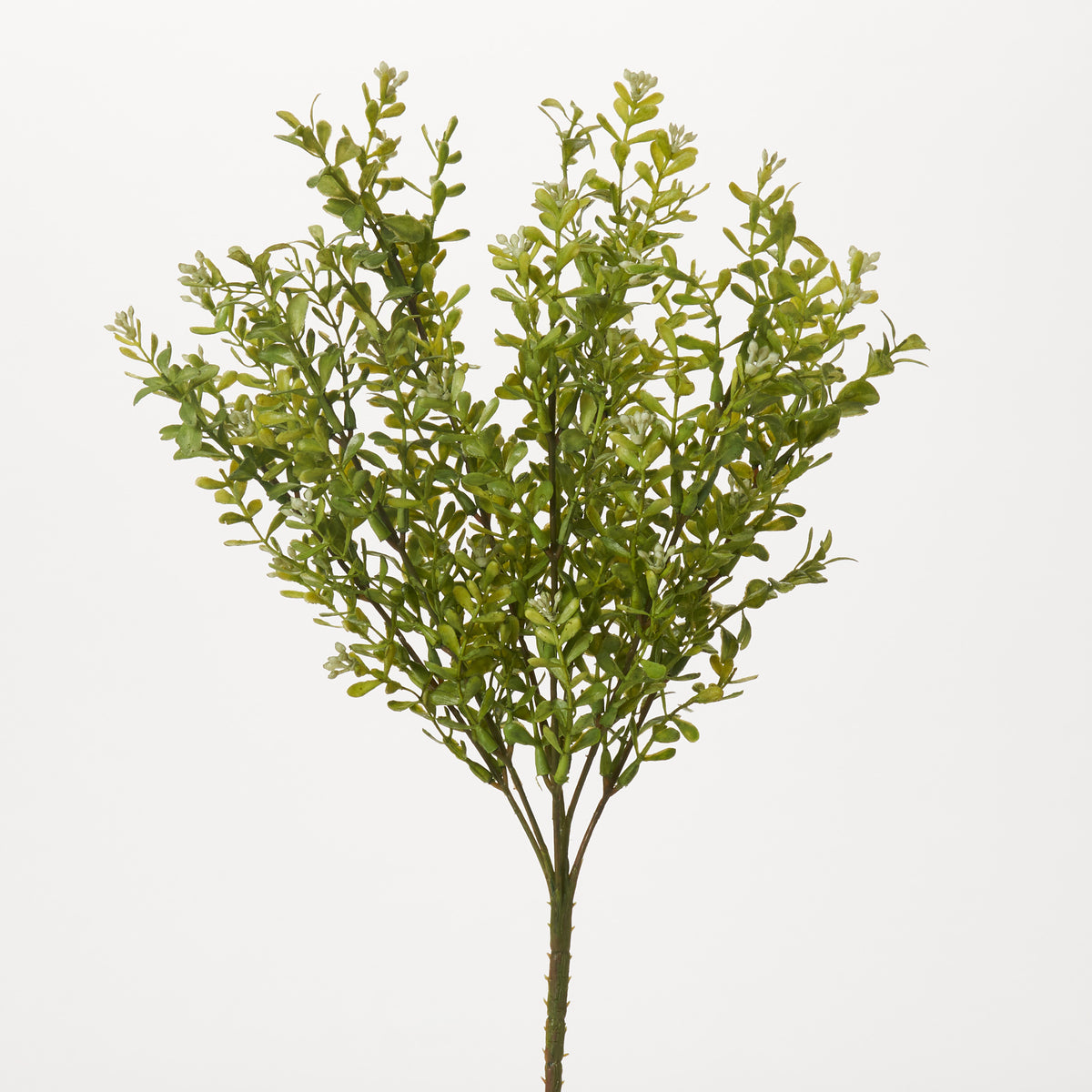 All Season Faux Seeding Boxwood Bush Spray -18" – Darby Creek Trading
