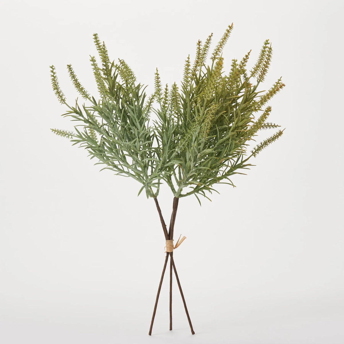 Sage Green Faux Astilbe Foliage Bundle of 3 Stems -18" - Darby Creek ...