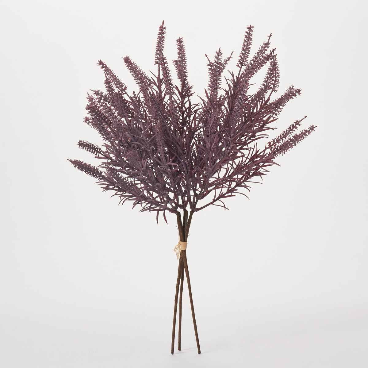 Dusty Dark Purple Astilbe Stem Bundle Dried Look Fall Foliage Bouquet ...