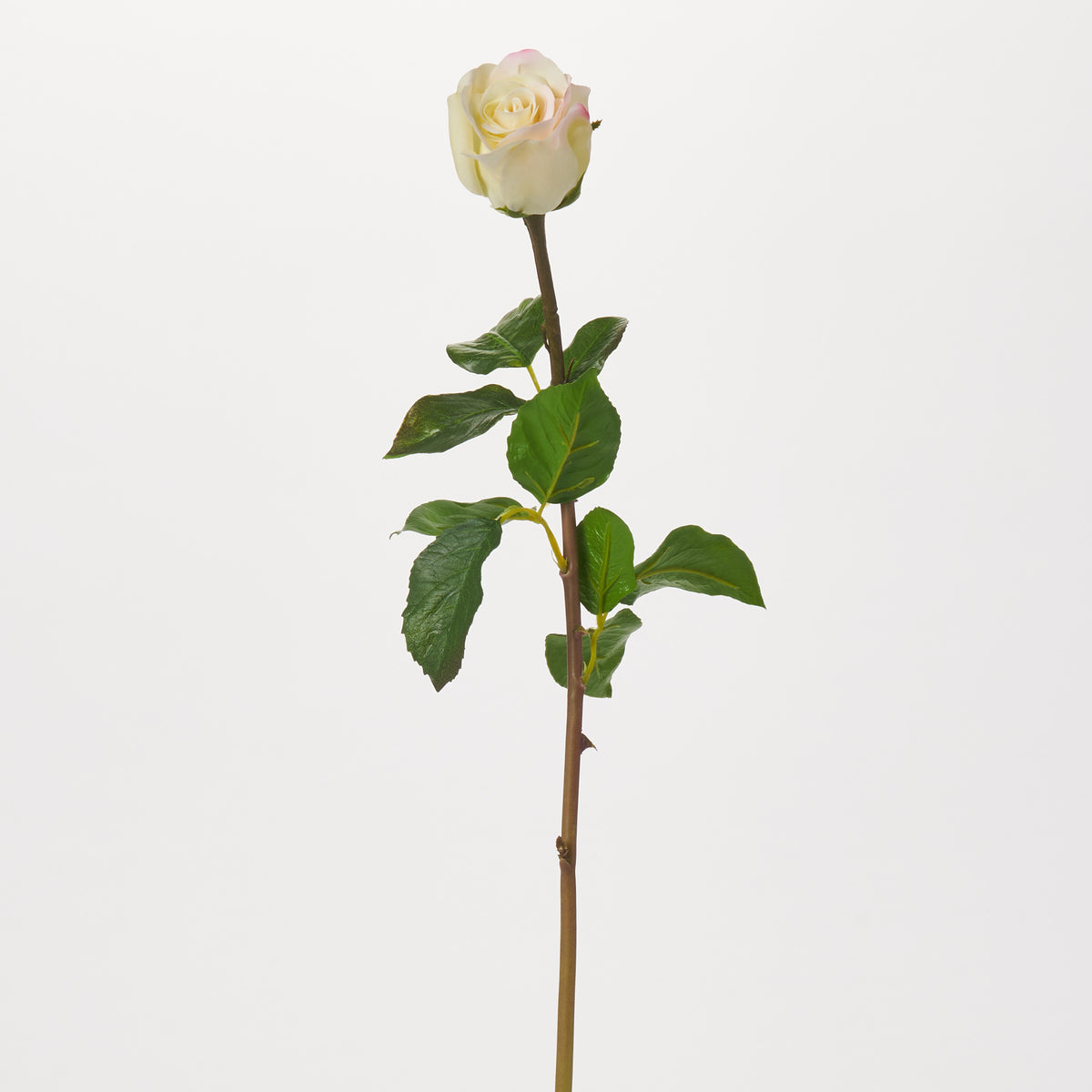Real Touch Vanilla Cream Dutchess Rose Bloom Single Faux Floral Stem S ...