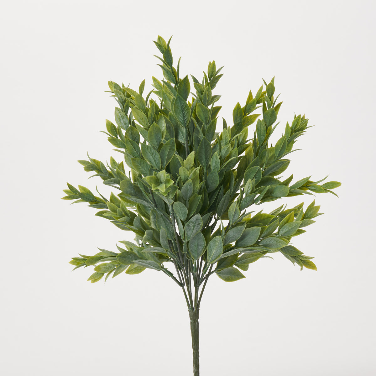 Dusty Green Faux Ruscus Leaf Bush Foliage Spray - 15" – Darby Creek Trading