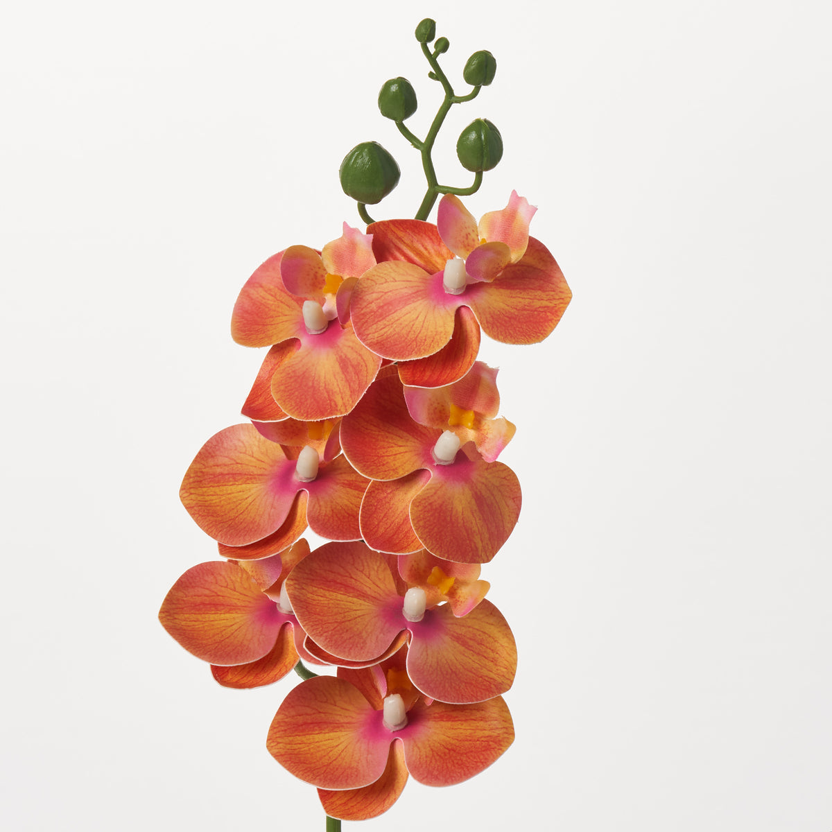 Blooming Orange Phalaenopsis Orchid Single Long Stem Tropical Faux Flo ...