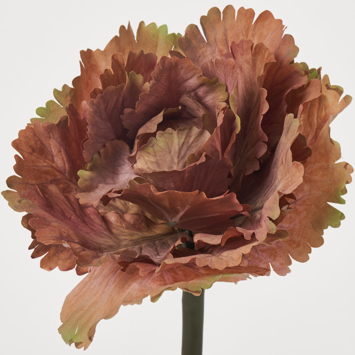 Nutmeg Brown Silk Cabbage Blossom Spray - 11” – Darby Creek Trading