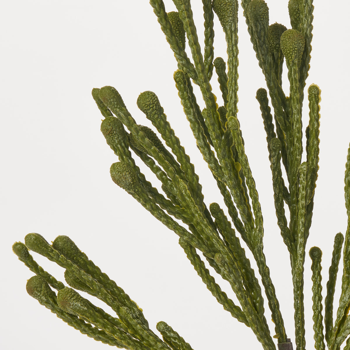 Real Touch Berzelia Berry Spray Faux Everyday Greenery Stem - 19 ...