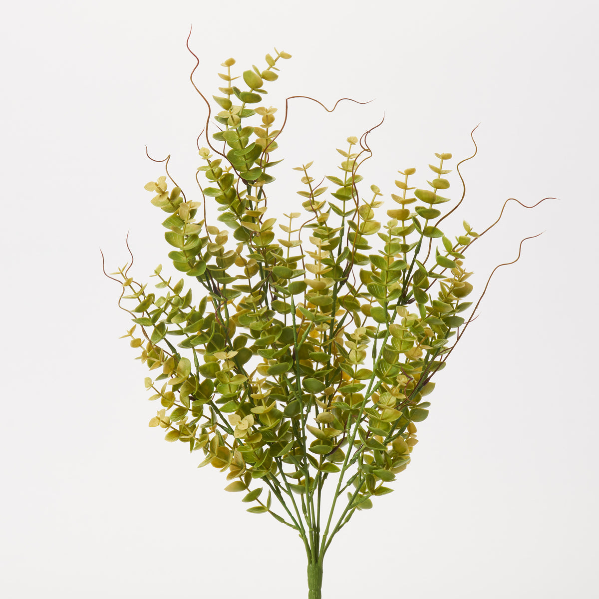Light Green Spiral Eucalyptus Bush Stem Bouquet - 20" – Darby Creek Trading