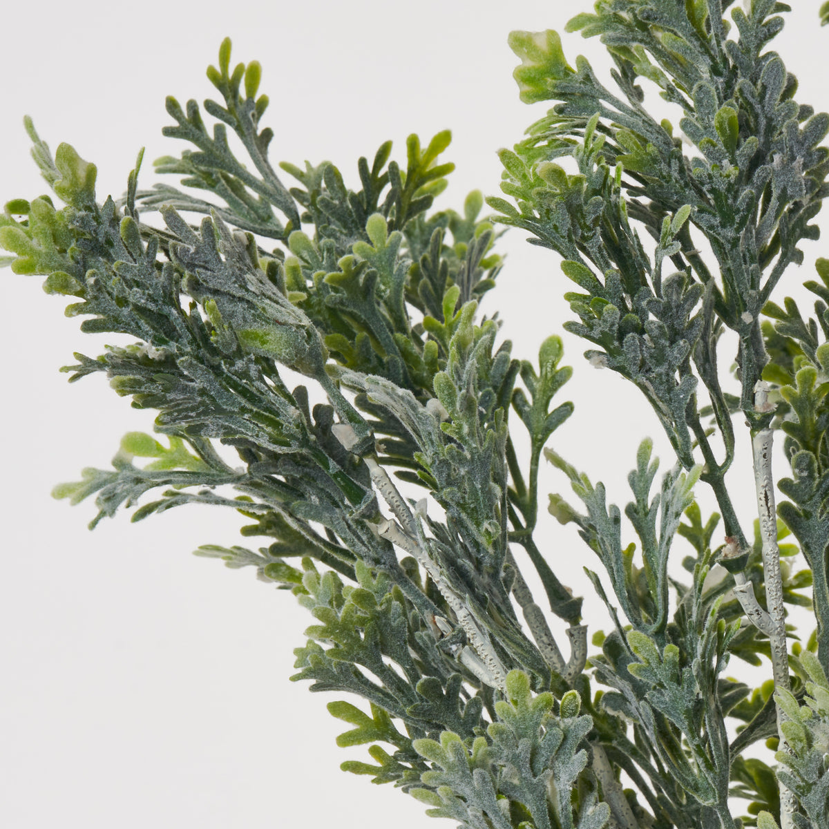 Green Fuzzy Dusty Miller All Seasons Greenery Bush Spray - 14" – Darby ...