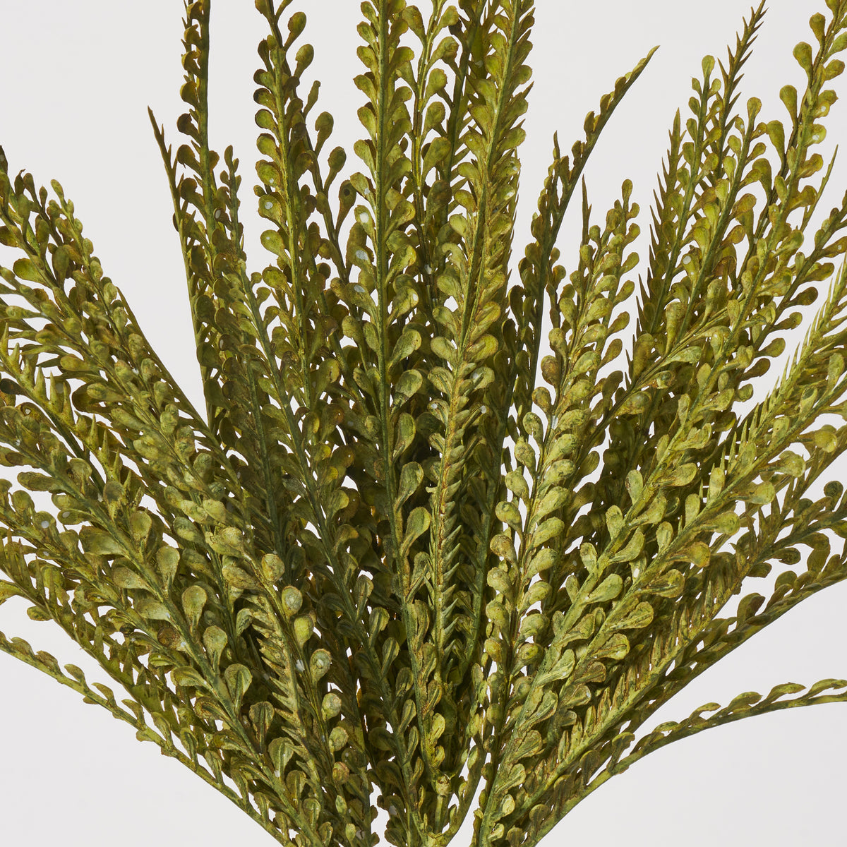 Sage Wild Wheat Grass Autumn Foliage Bush Spray - 17" – Darby Creek Trading