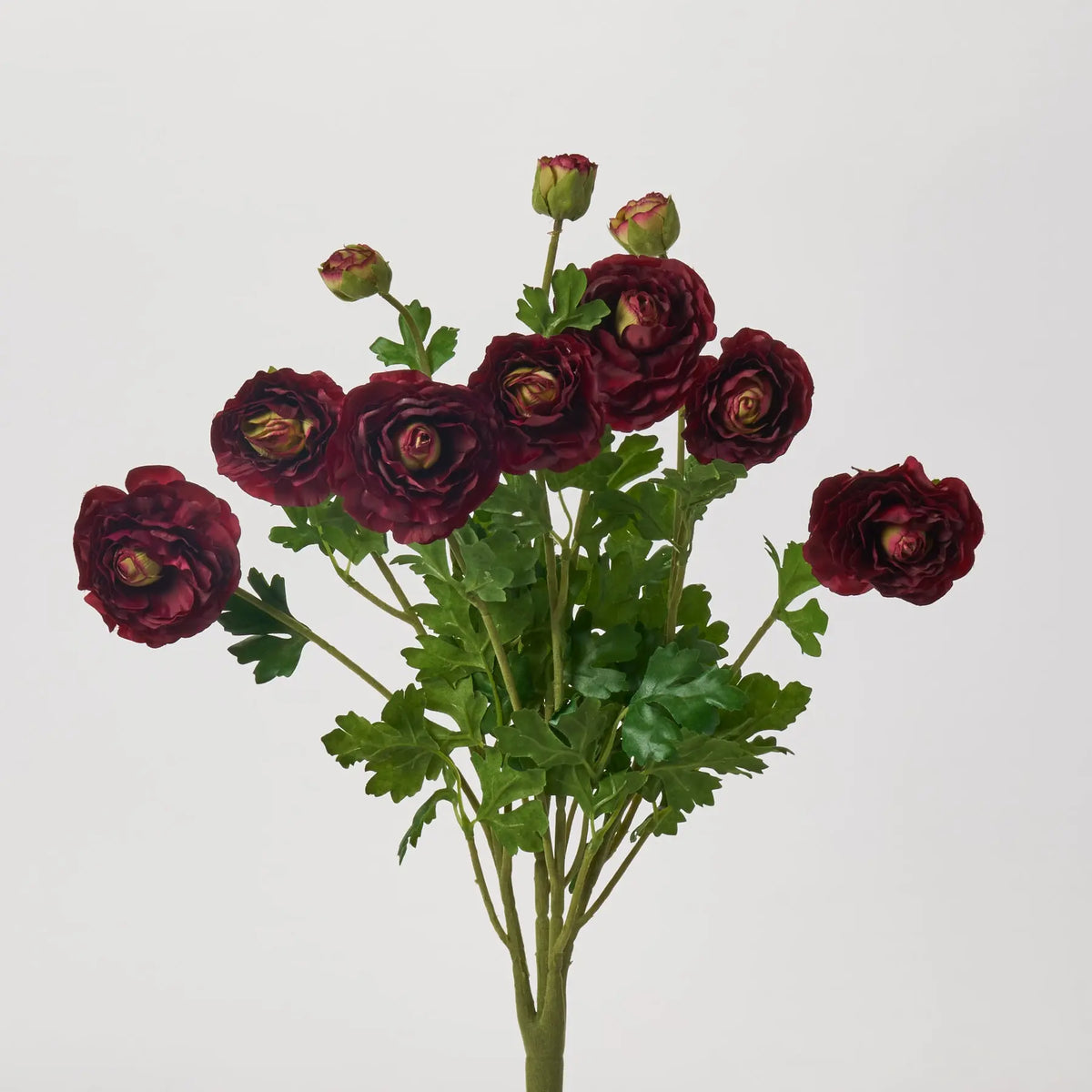Blooming Dark Burgundy Persian Buttercup Ranunculus Bush Faux Floral S ...