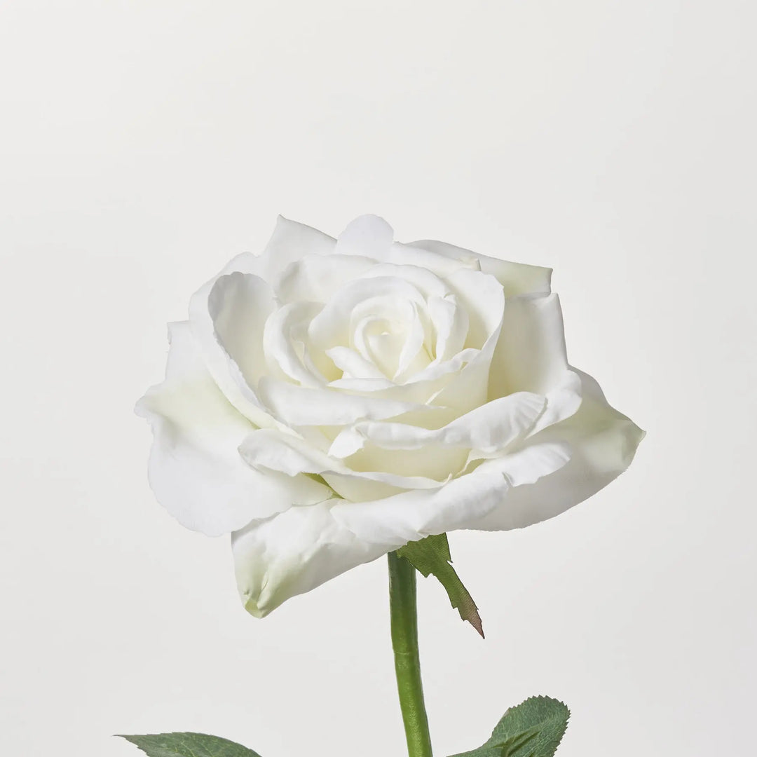 Single White Rose Stem
