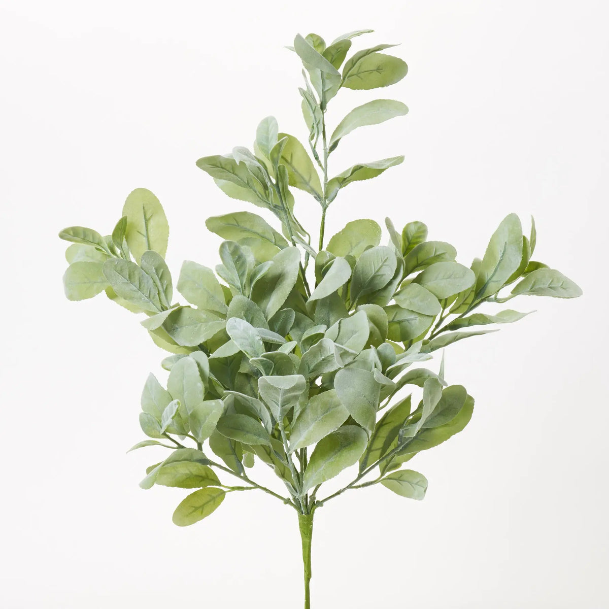 Fuzzy Mint Green Faux Lamb's Ear Bush Everyday Greenery Spray - 24 ...