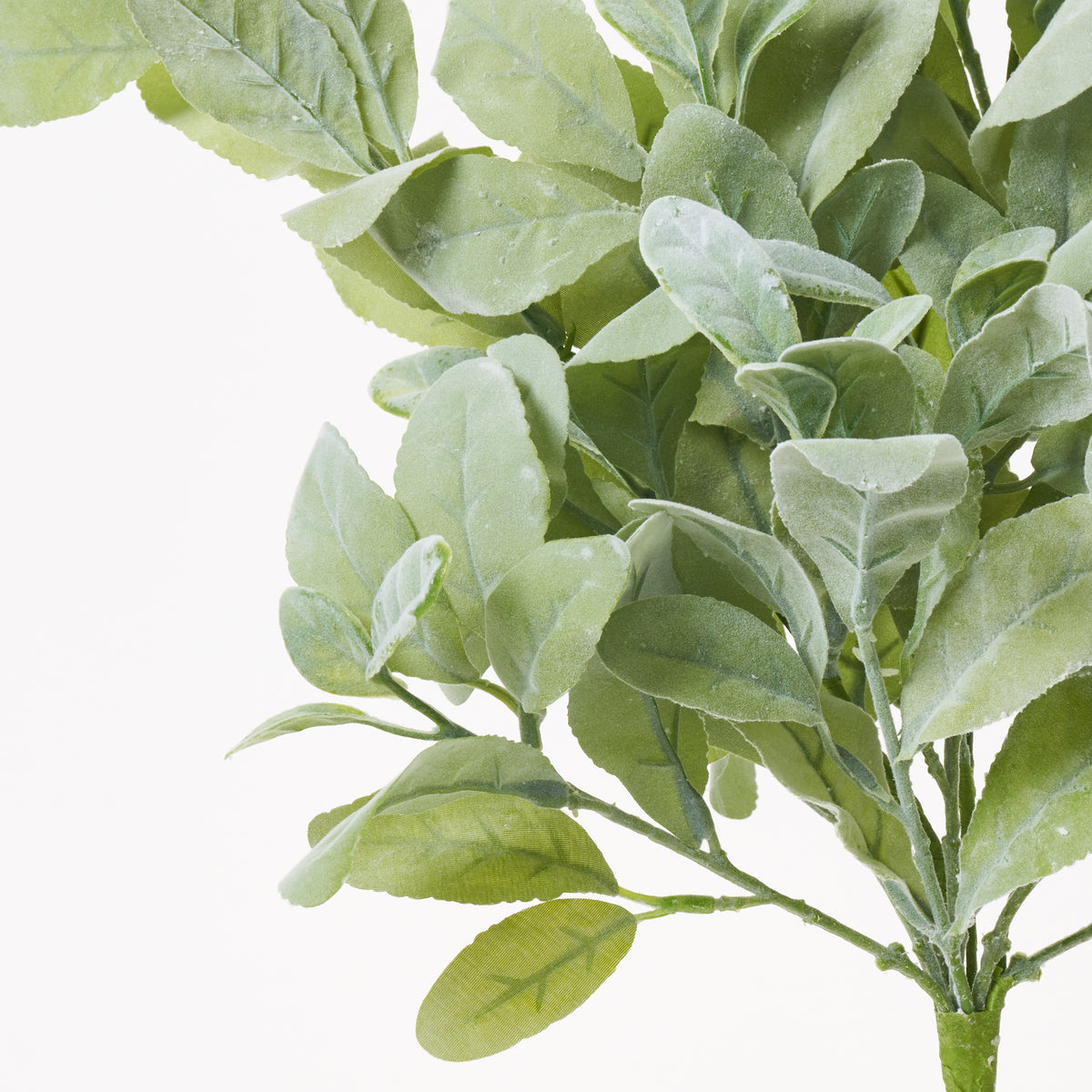 Fuzzy Mint Green Faux Lamb's Ear Bush Everyday Greenery Spray - 24 ...