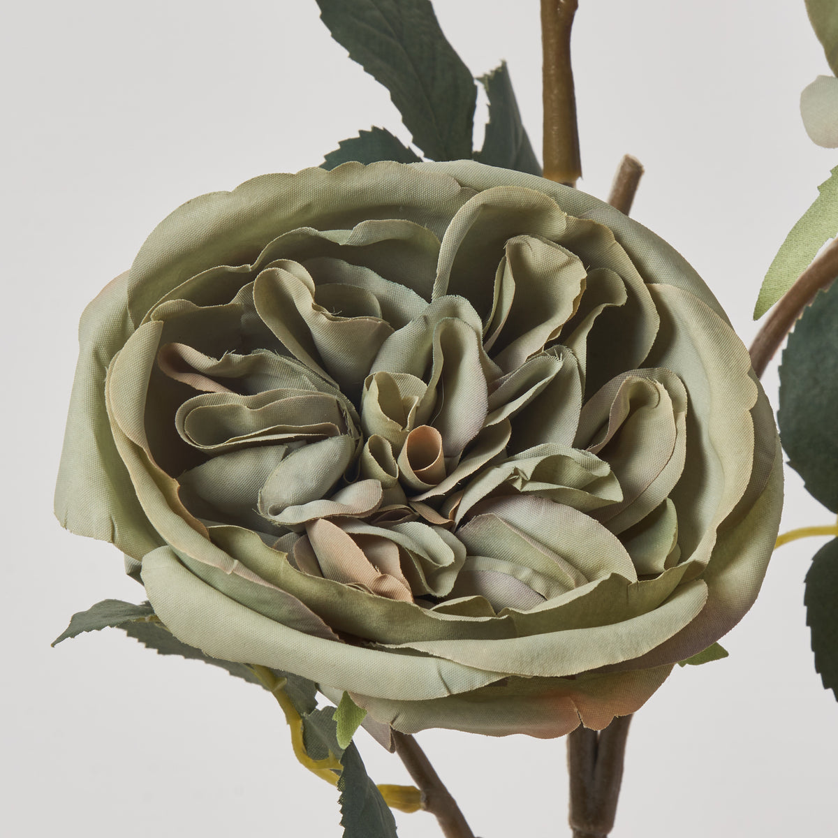 Pistachio Green Silk Rose Bloom & Bud Faux Floral Stem Spray - 30 ...