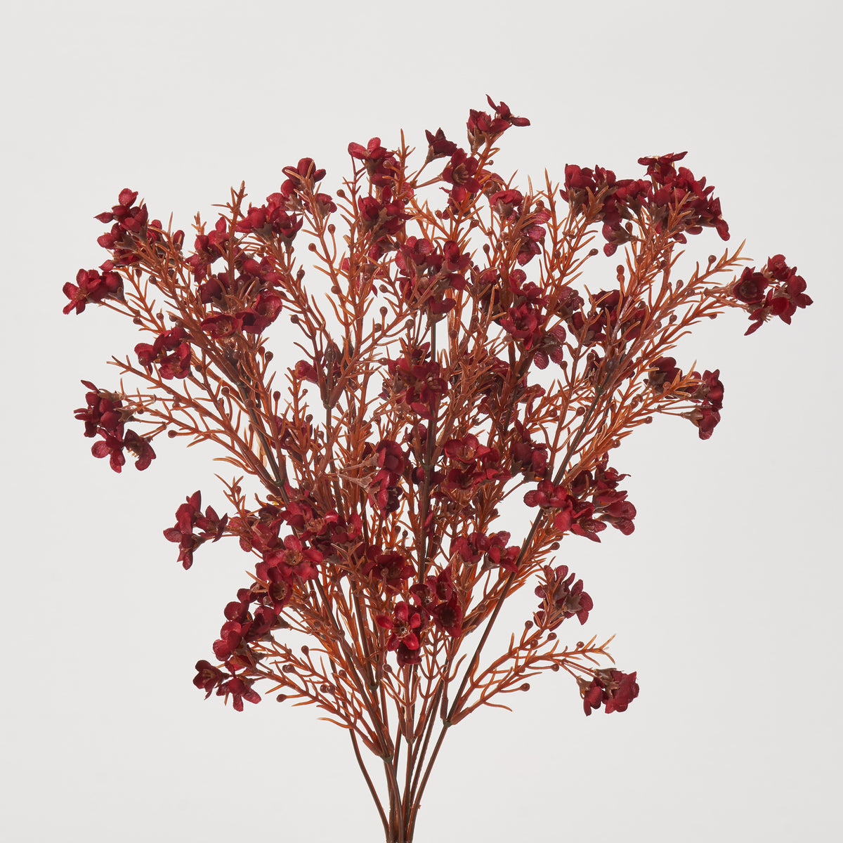Burgundy Red Waxflower Chamelaucium Blossoms Faux Bush Bouquet - 18 ...