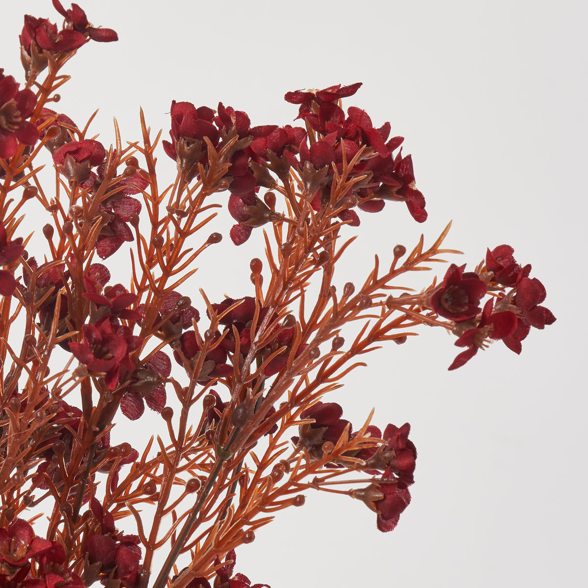 Burgundy Red Waxflower Chamelaucium Blossoms Faux Bush Bouquet - 18 ...