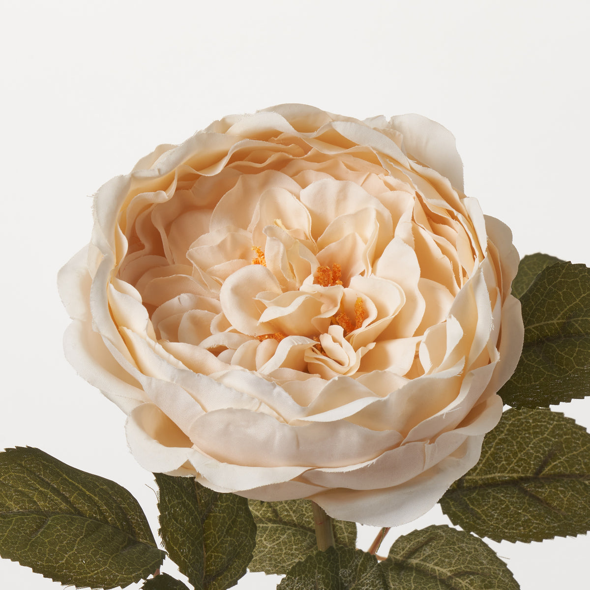 Lifelike Full Bloom Cream Open Garden Rose Single Faux Floral Stem Spr ...