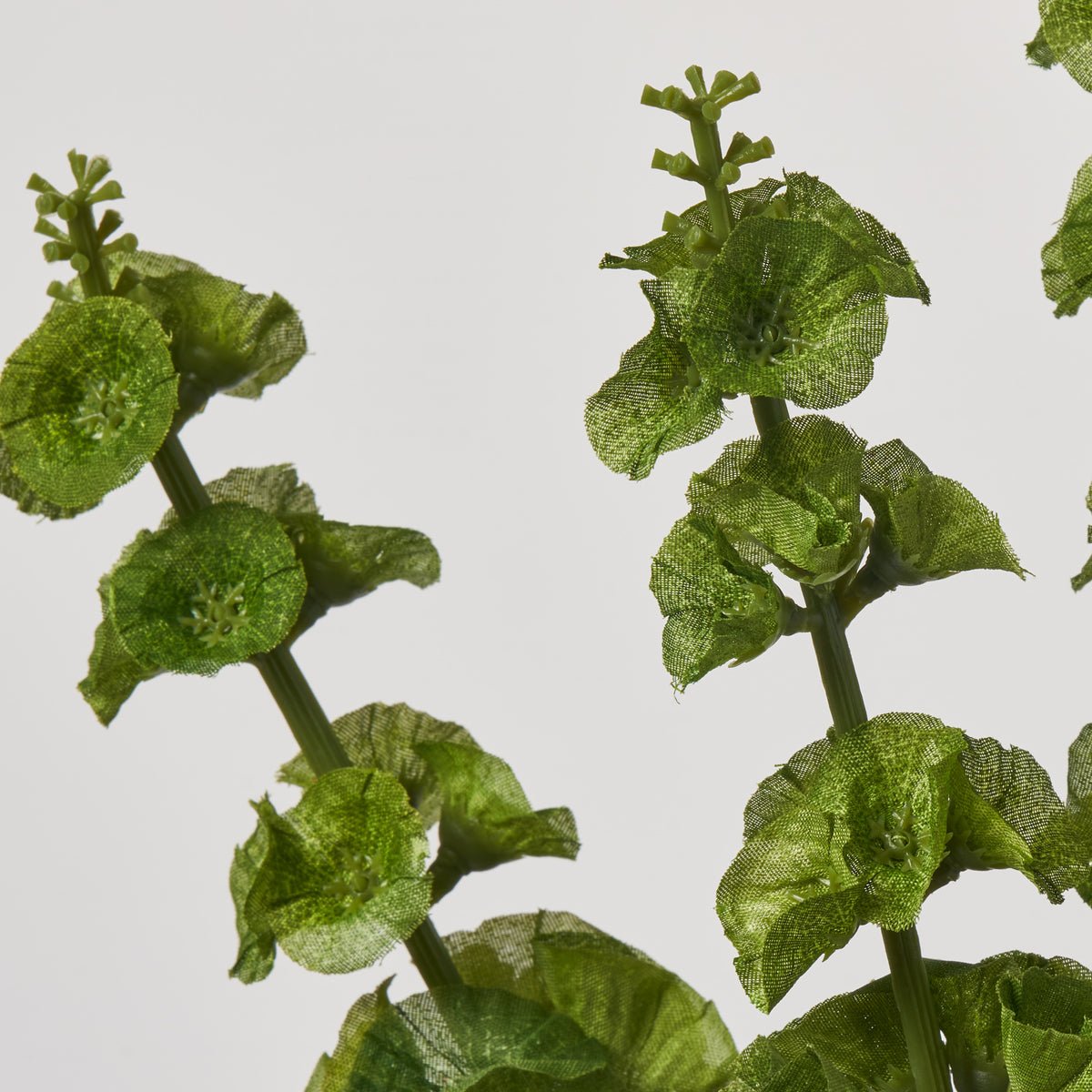 Seeding Lush Green Bells of Ireland Bush Faux Floral Spray - 23 ...