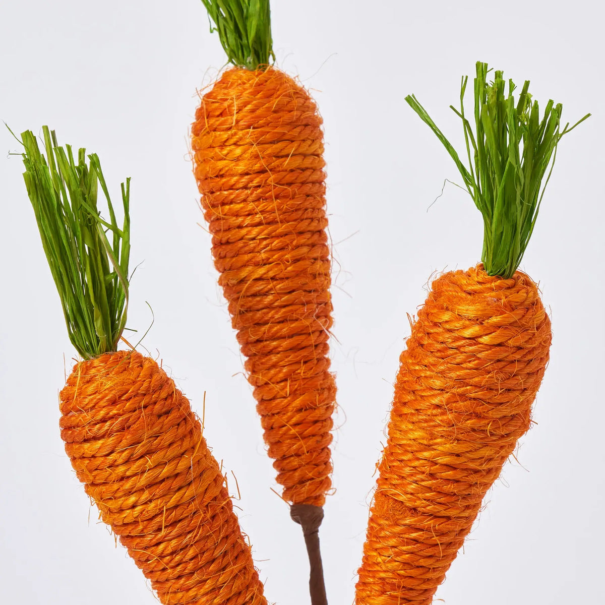 Orange Woven Jute Carrot Easter Branch Spray - 20" – Darby Creek Trading