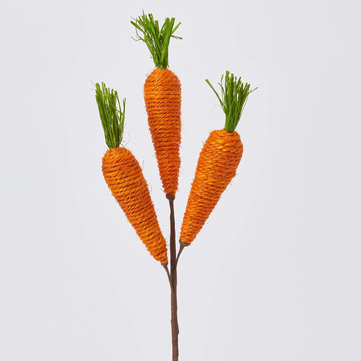 Orange Woven Jute Carrot Easter Branch Spray - 20" – Darby Creek Trading